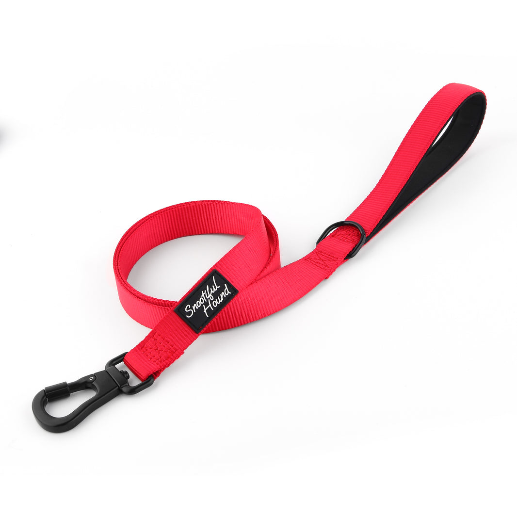 Locking Dog Leads - Leads With Carabiner Clip – Snootiful Hound
