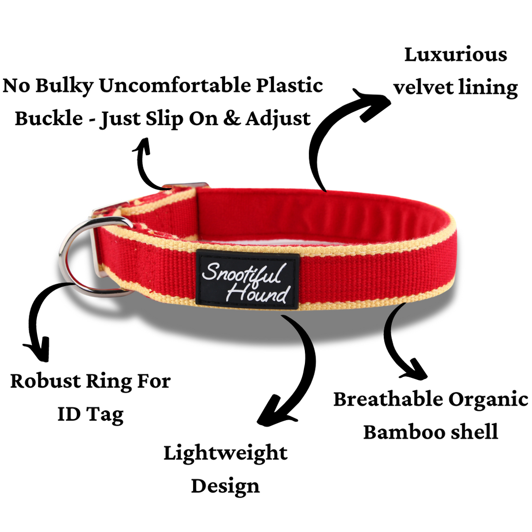 Whippet Collars - Comfortable, Stylish & Perfect Fit for Whippets ...
